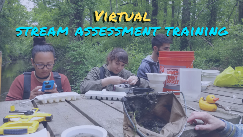 Stream Assessment Training Self-paced Guide - GSWA