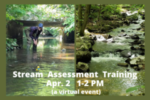 Stream Assessment Training on Zoom-FREE! - GSWA