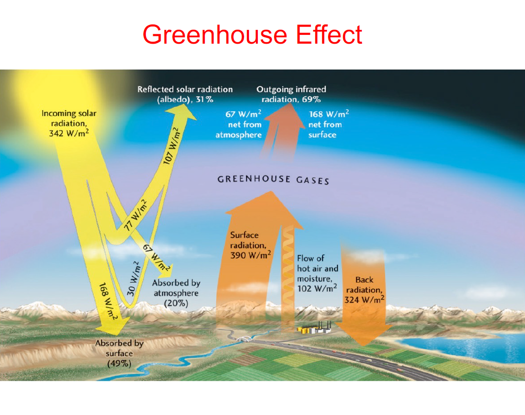 'A Tale of the Great Swamp’s Climate' by David Robinson - GSWA
