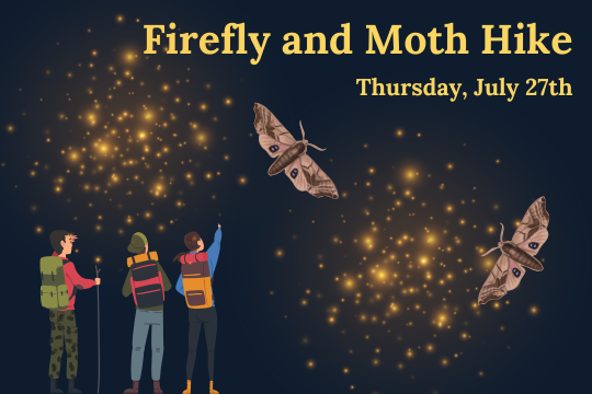 Firefly and Moth Hike - GSWA