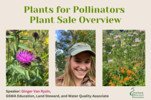 Plant for Pollinators Plant Sale Overview - GSWA