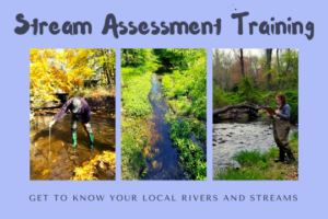 Stream Assessment Training- FREE - GSWA