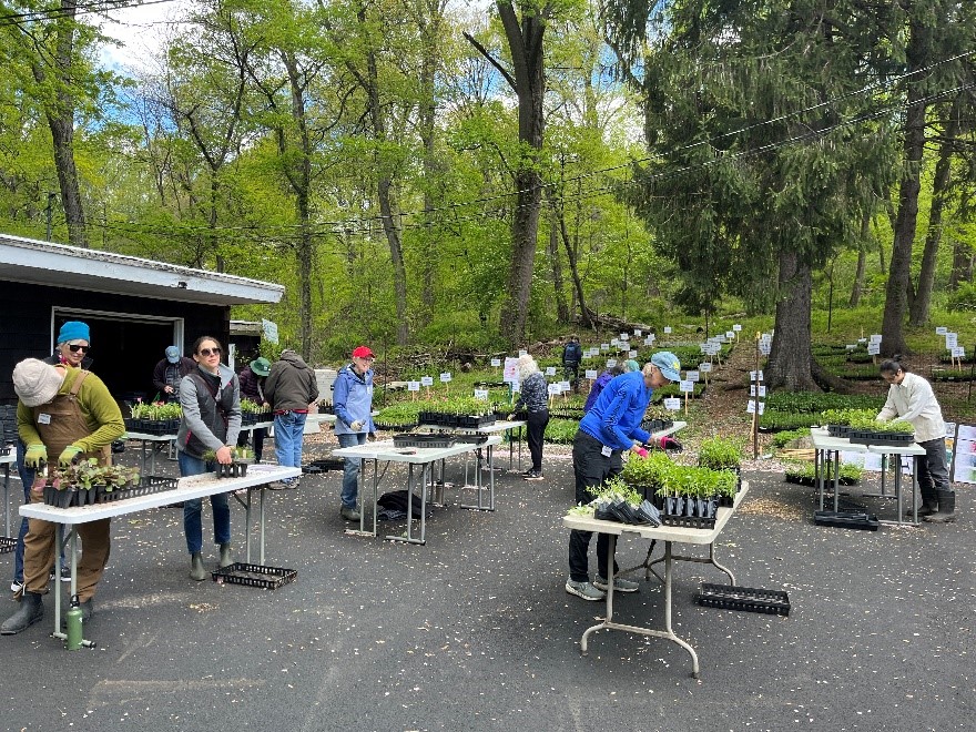 Native Plant Program - GSWA