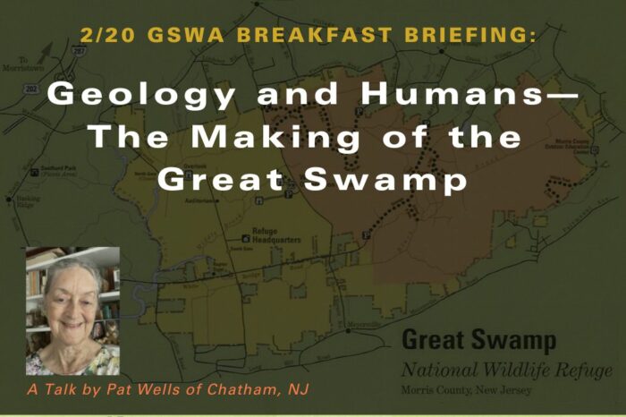 Great Swamp Watershed Association | Protecting our waters and our land ...